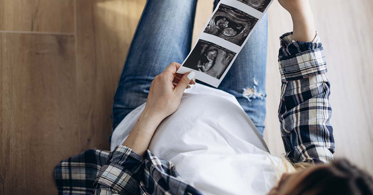 El papel del Biólogo en la reproducción asistida – El Embriólogo - Your ...